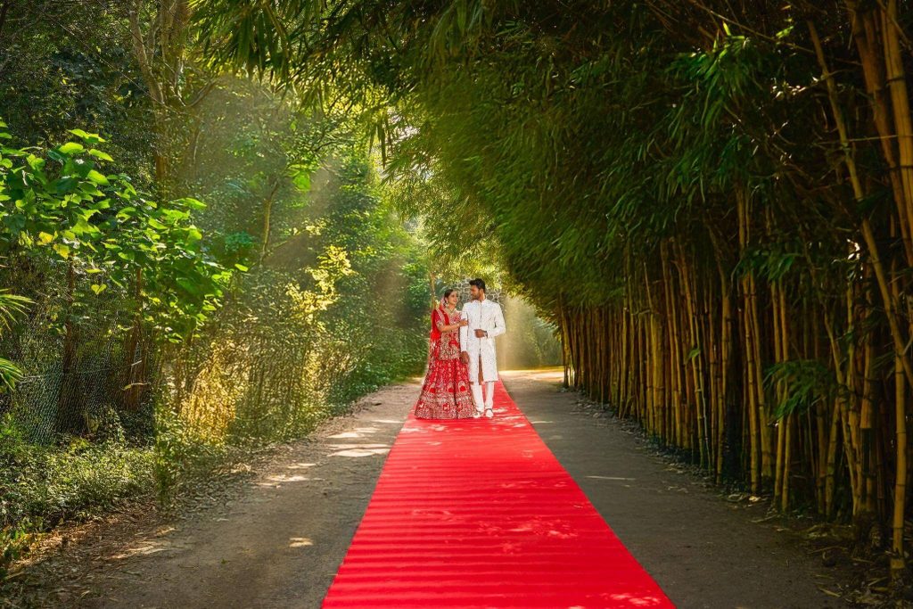 Forest Fairytale Wedding at Grape County Eco Resort & Spa – A Magical ...